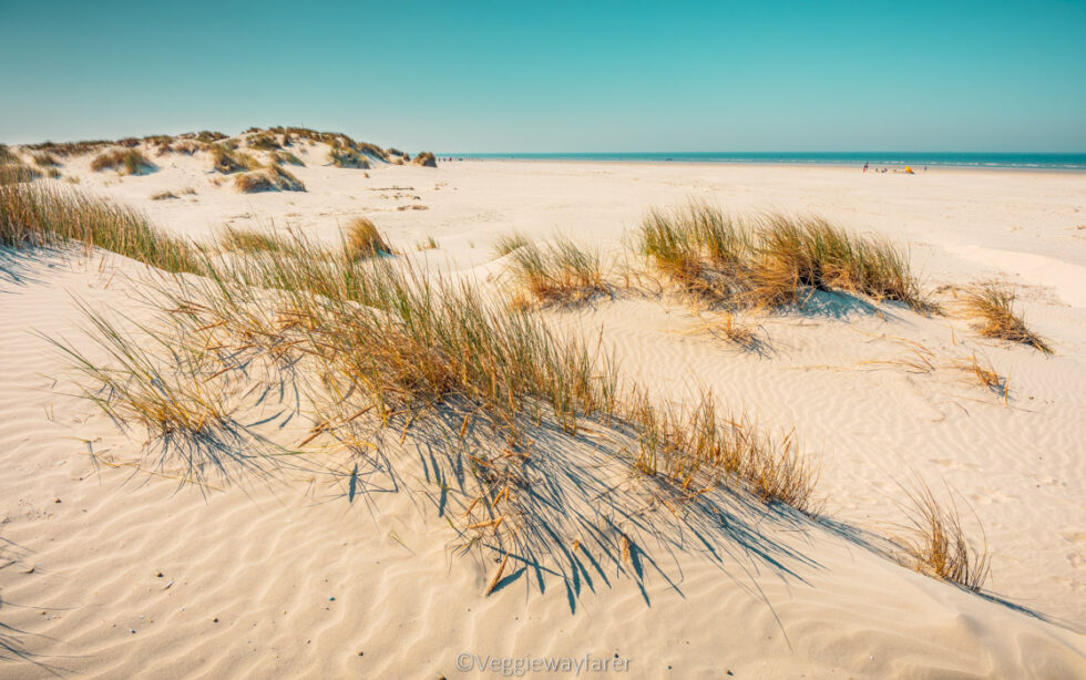 Things to do in Friesland & the West Frisian Islands