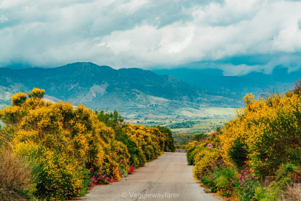 Driving in Sicily: 10 Invaluable Tips & Tricks from a Local - Veggie ...