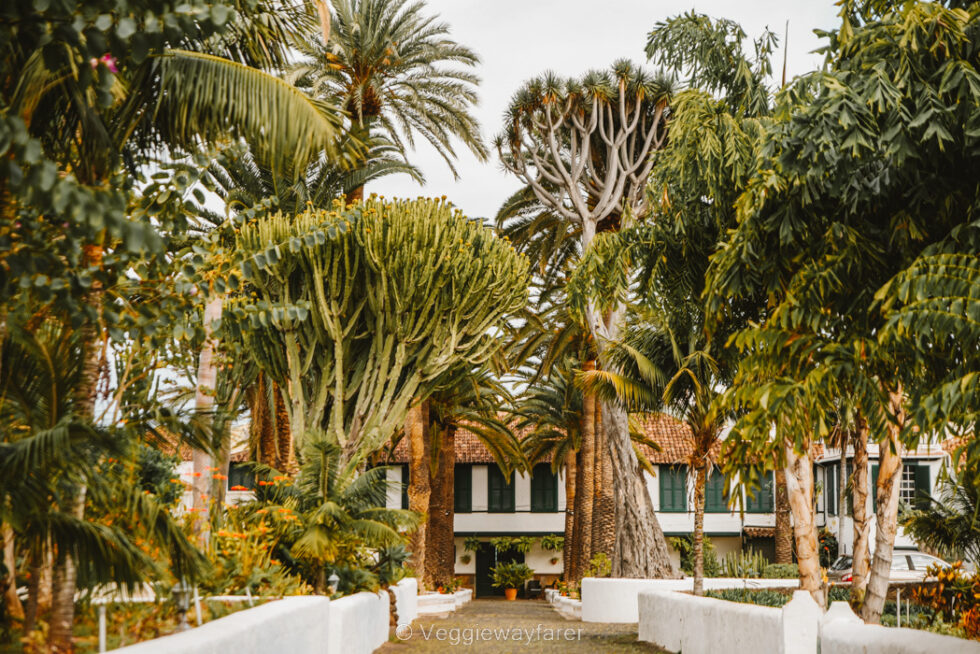 The ultimate four days in Tenerife