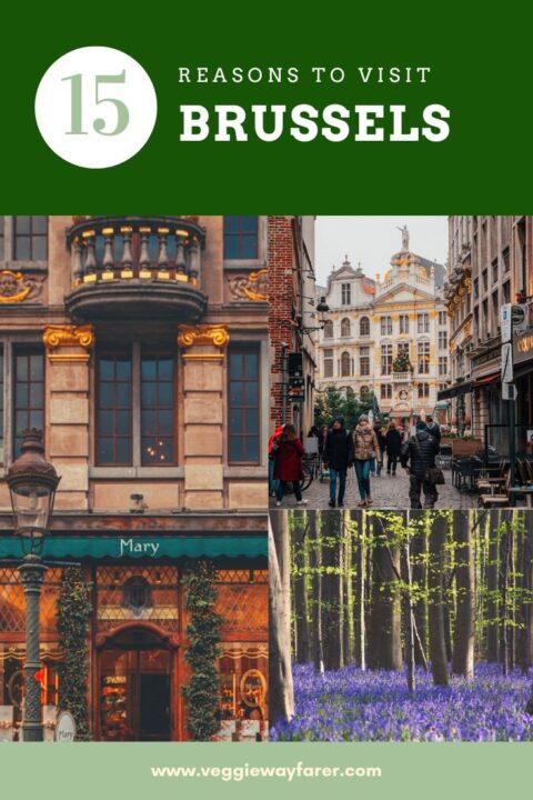 Is Brussels Worth Visiting? A Local's View+Tips